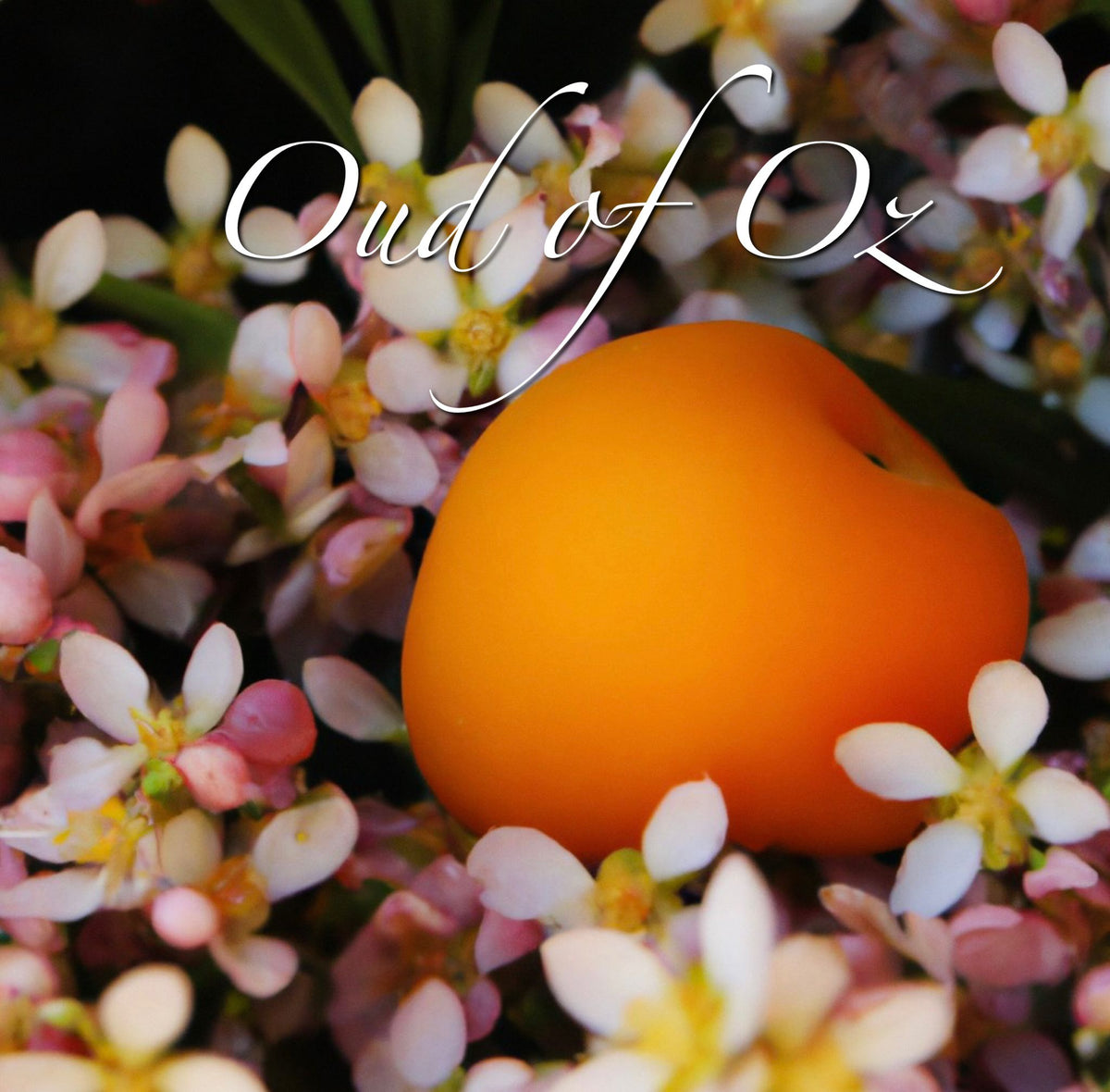 Perfumes– Page 2 – Lost Tribe Perfumes